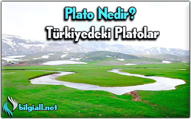 Plato Nedir? ve Türkiyedeki Platolar