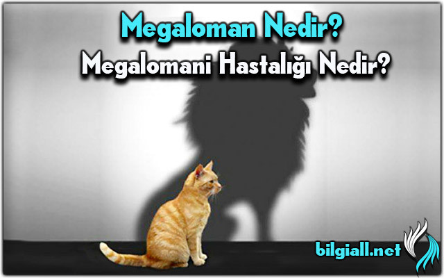 Megaloman Nedir ?, Megalomani Hastalığı Nedir